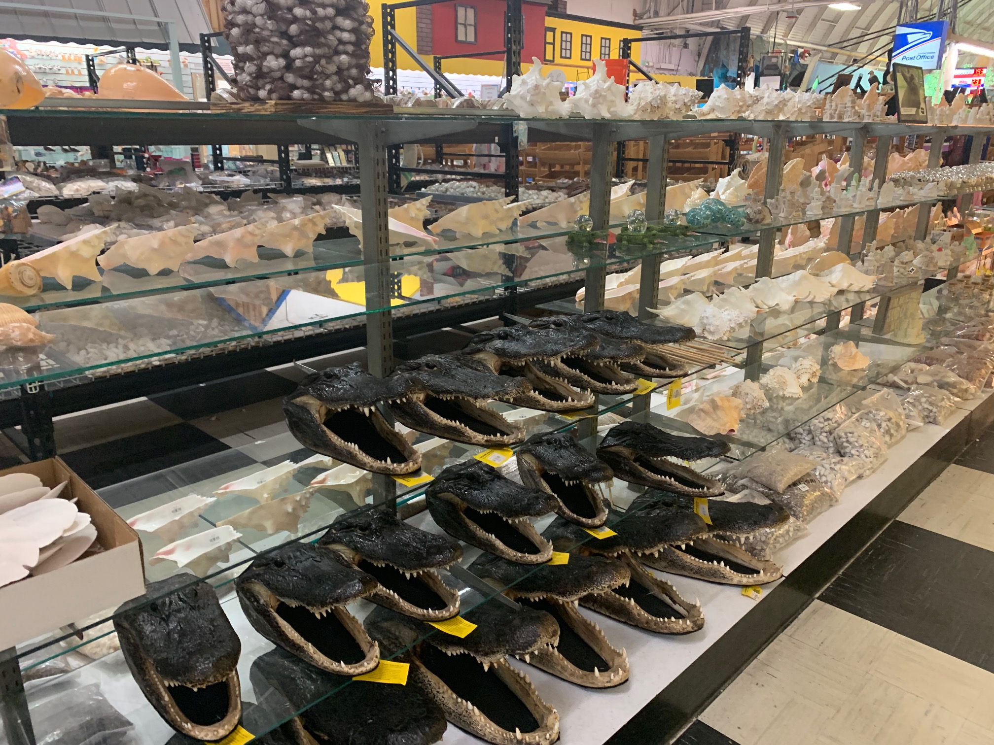 The Shell Factory & Nature Park Photos