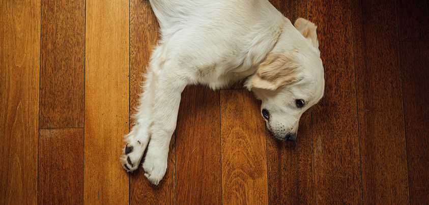 5 Quick Fixes for Your Home