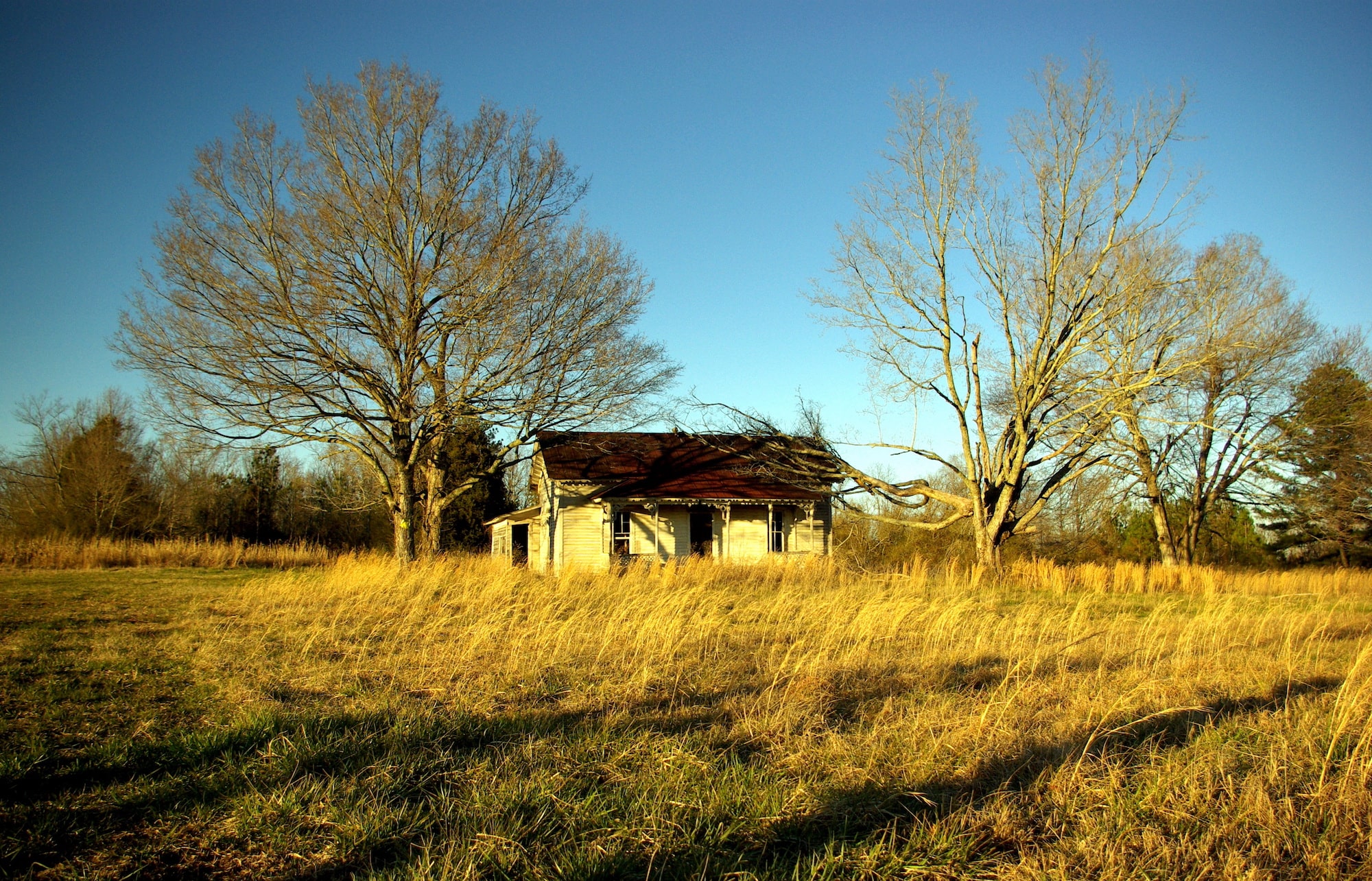 Minor Hill Real Estate | Homes For Sale in Minor Hill