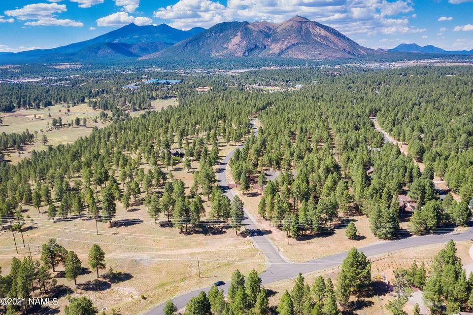 Forest Ridge | Forest Dale Homes & Real Estate For Sale