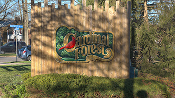 Guide To Cardinal Forest Condos For Sale In Springfield, VA