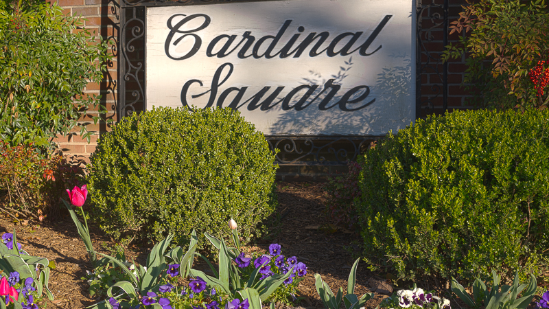 Cardinal Square Condos for Sale in Springfield VA