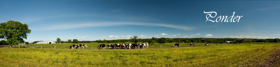 Ponder TX MLS Real Estate Search - Ponder Homes for Sale