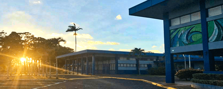 The Definitive Guide To Moving To Oahu, Hawaii 2020