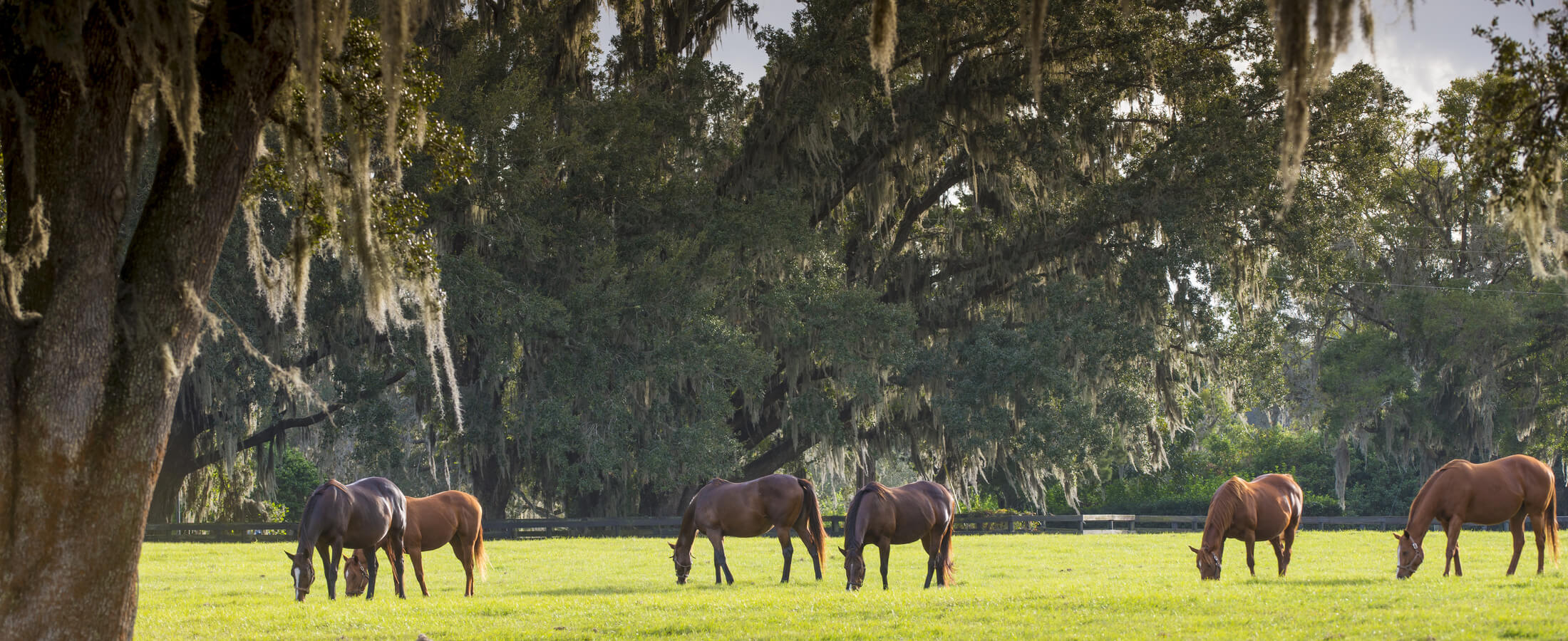 Florida Retirement Homes