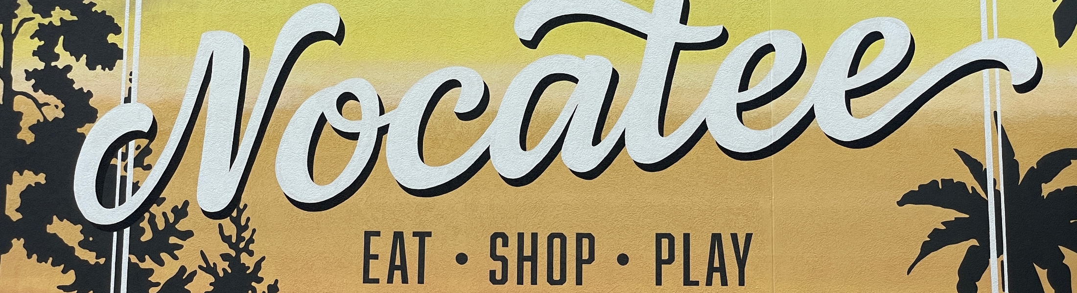 Nocatee Homes For Sale