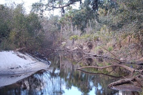 Econlockhatchee River