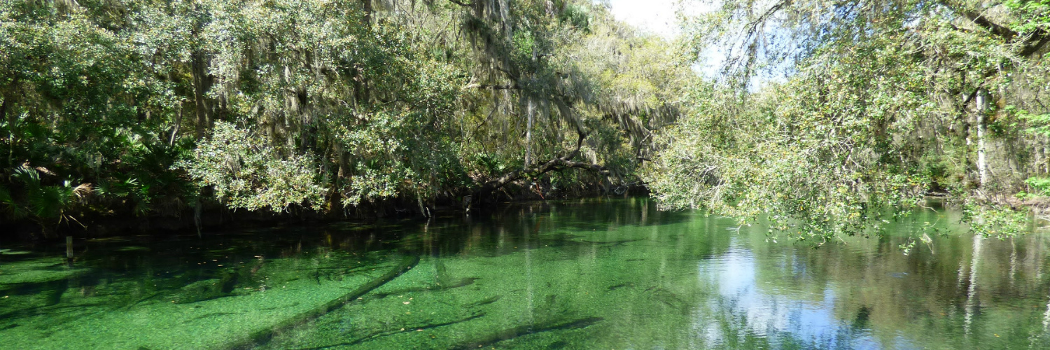 Blue Spring State Park
