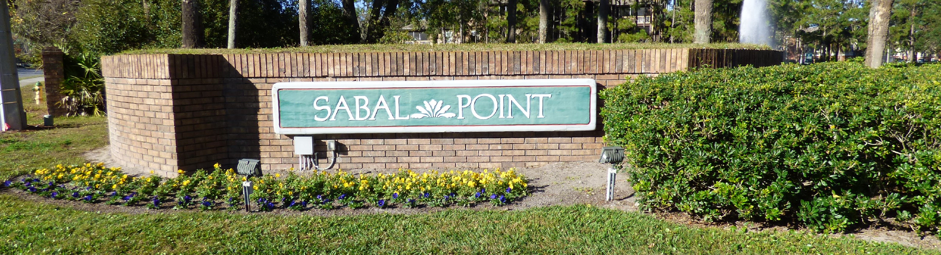 Sabal Point Homes For Sale