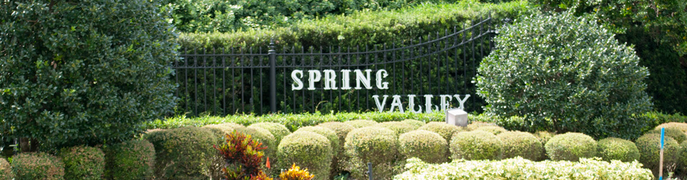 Spring Valley Homes For Sale