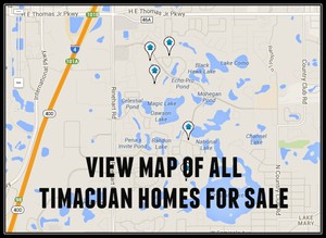 Homes For Sale in Timacuan