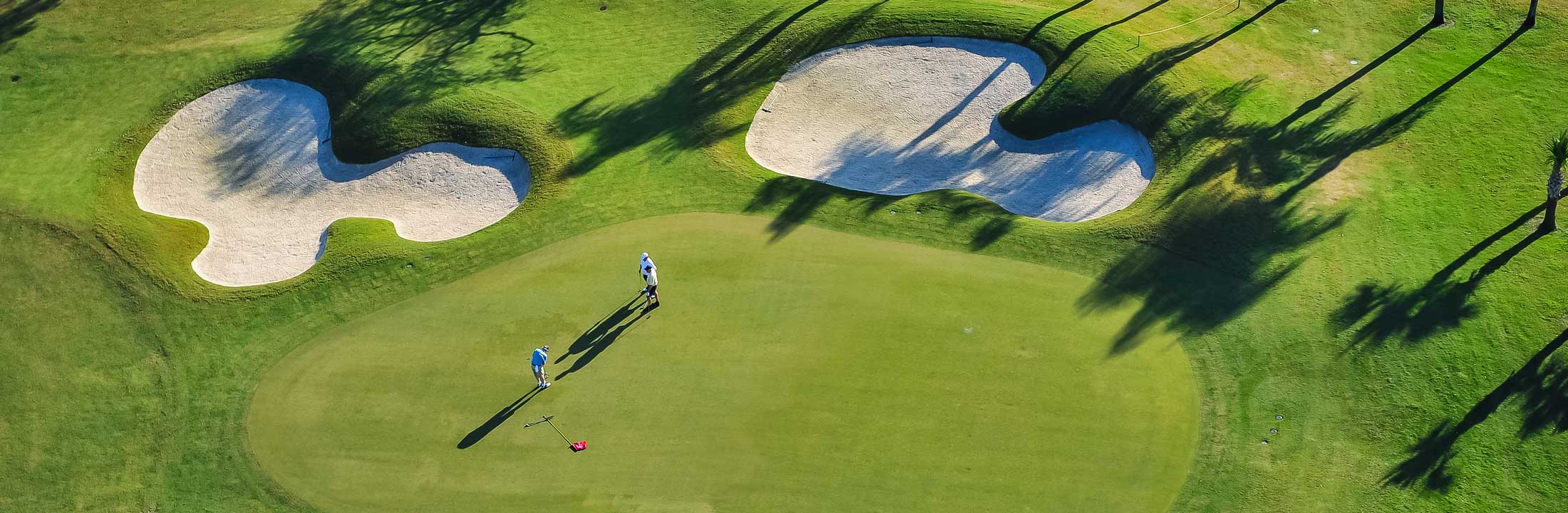 Ibis Golf and Country Club Real Estate Listings & Homes