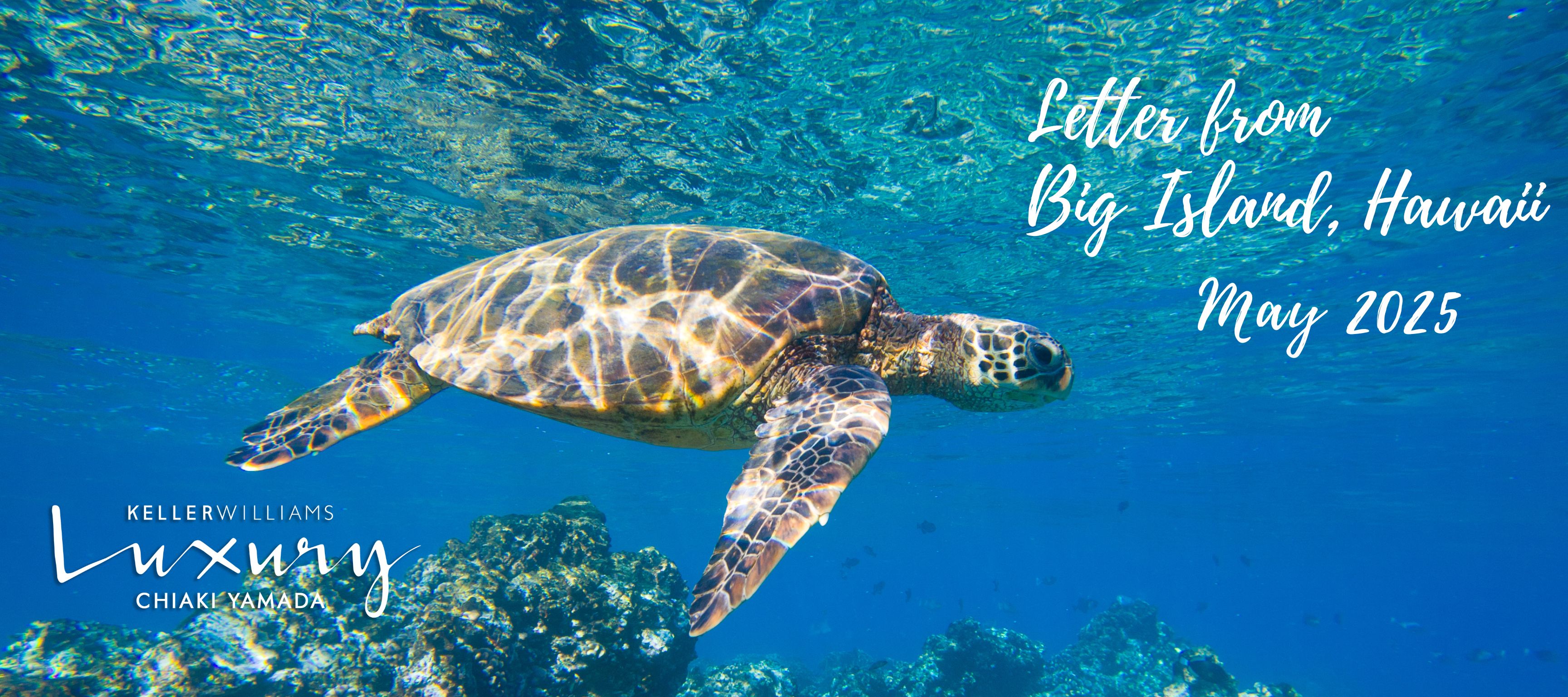 Letter from Big Island, Hawaii - May 2025