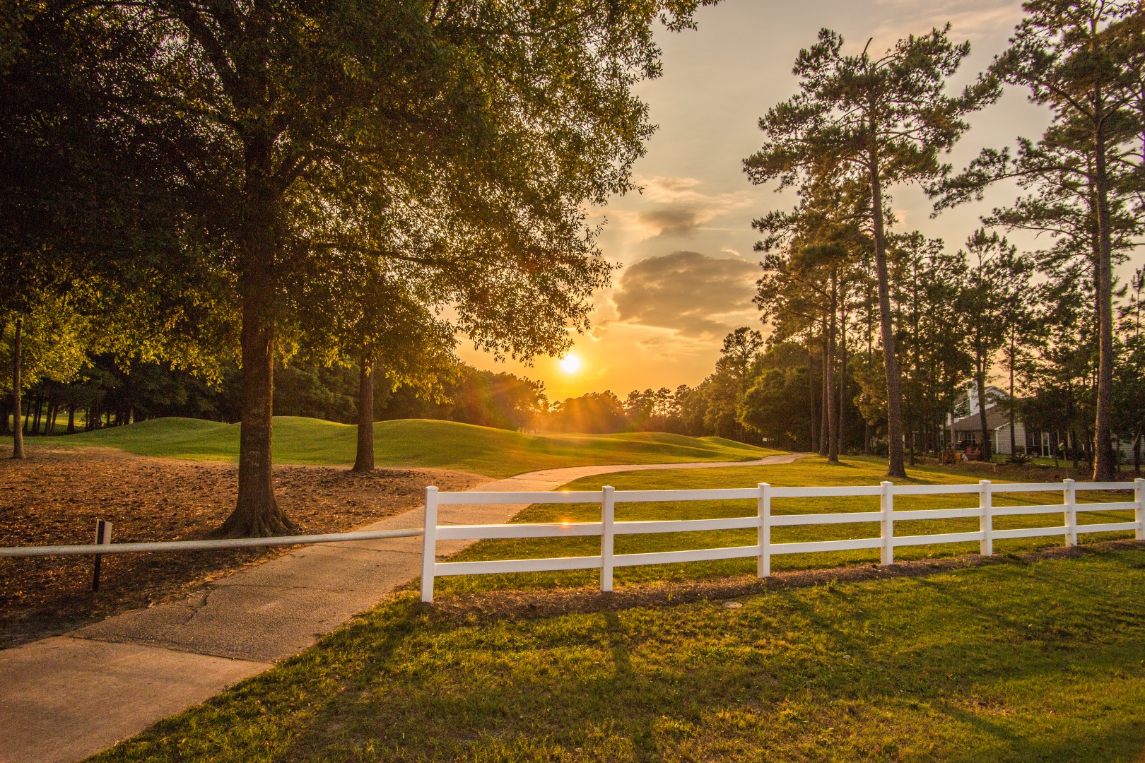 Wild Wing Plantation