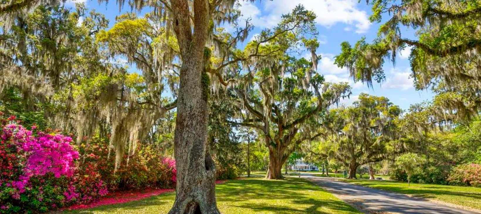 Litchfield Plantation