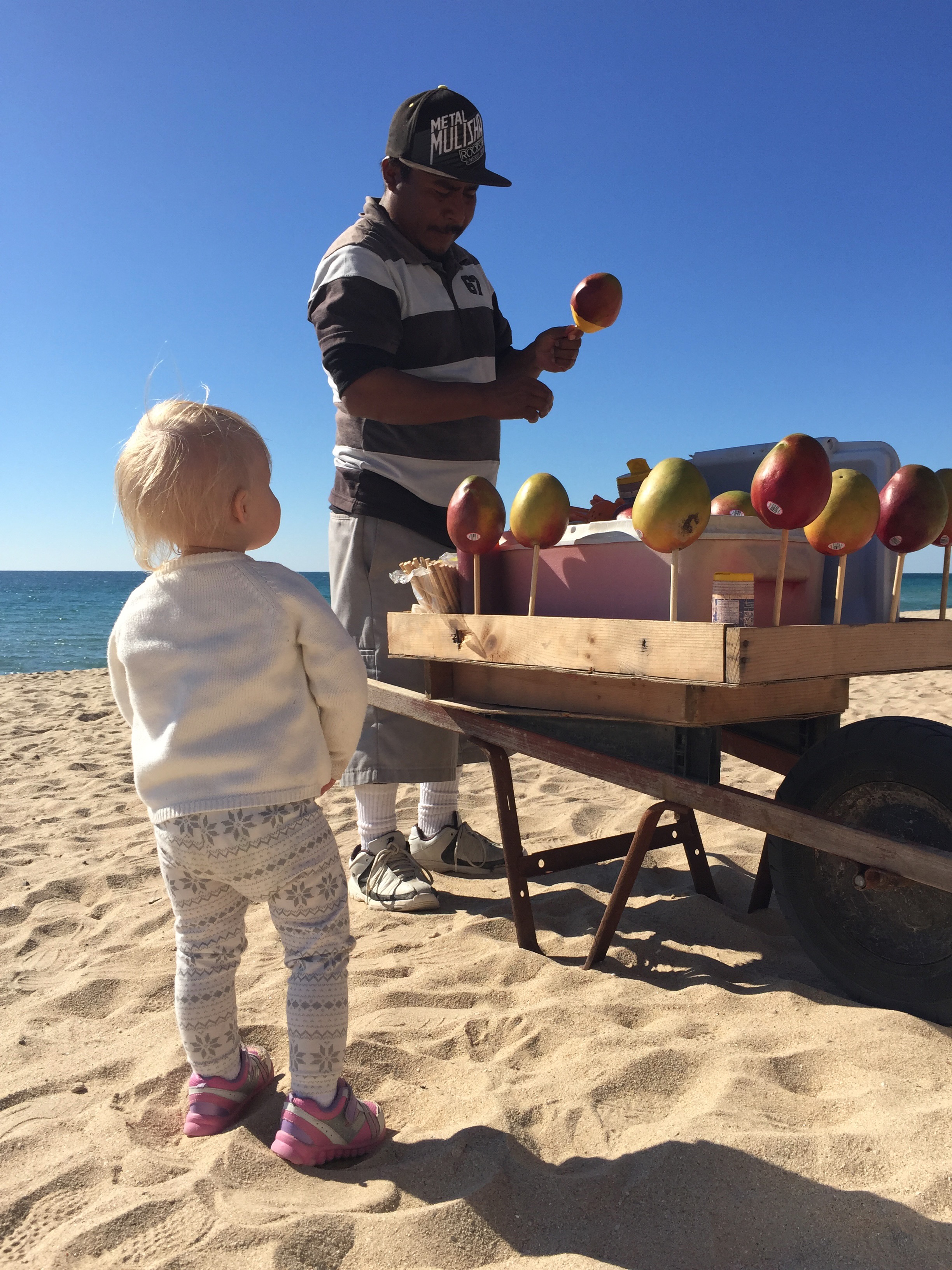 An Ode to the Mango