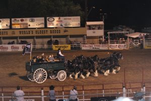 World's Oldest Rodeo - Prescott, Arizona