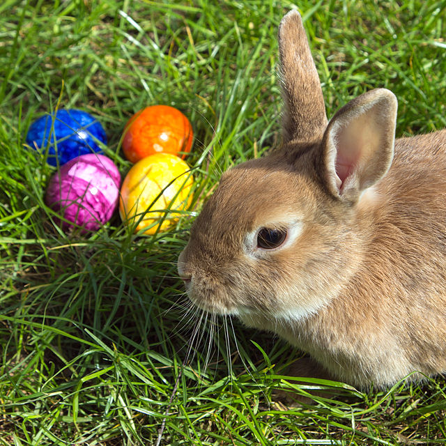 Easter-Themed Events in West Michigan