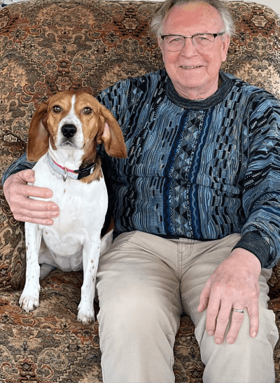 Find Your Dream Home