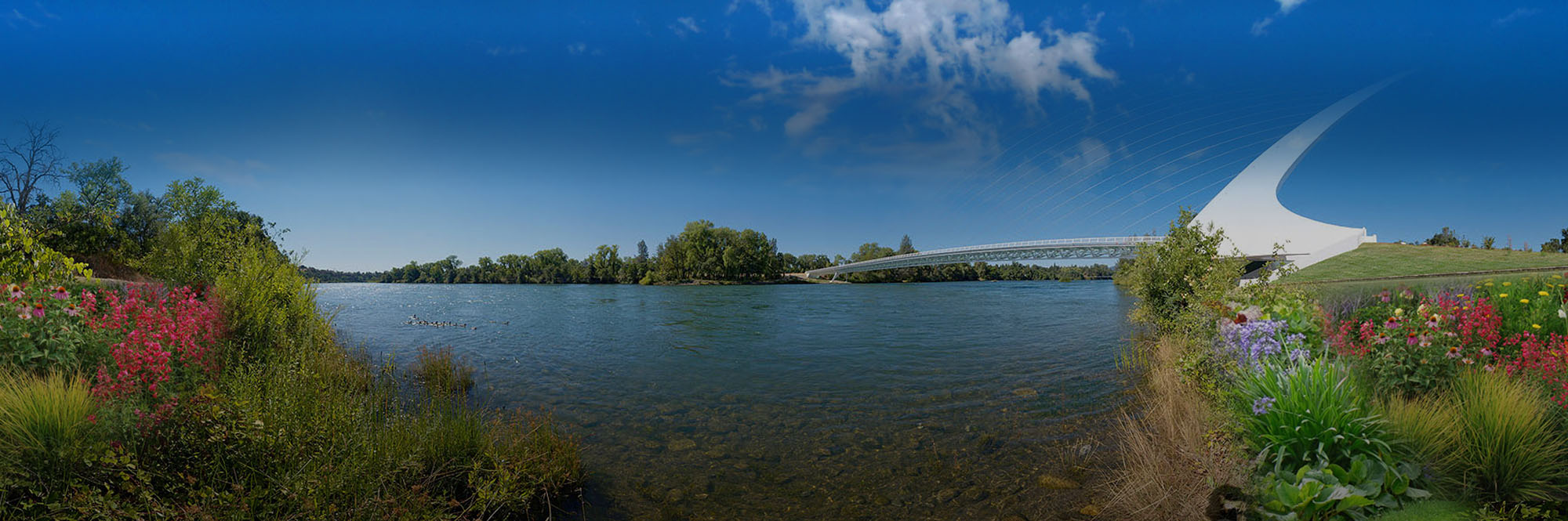 Redding Area Real Estate