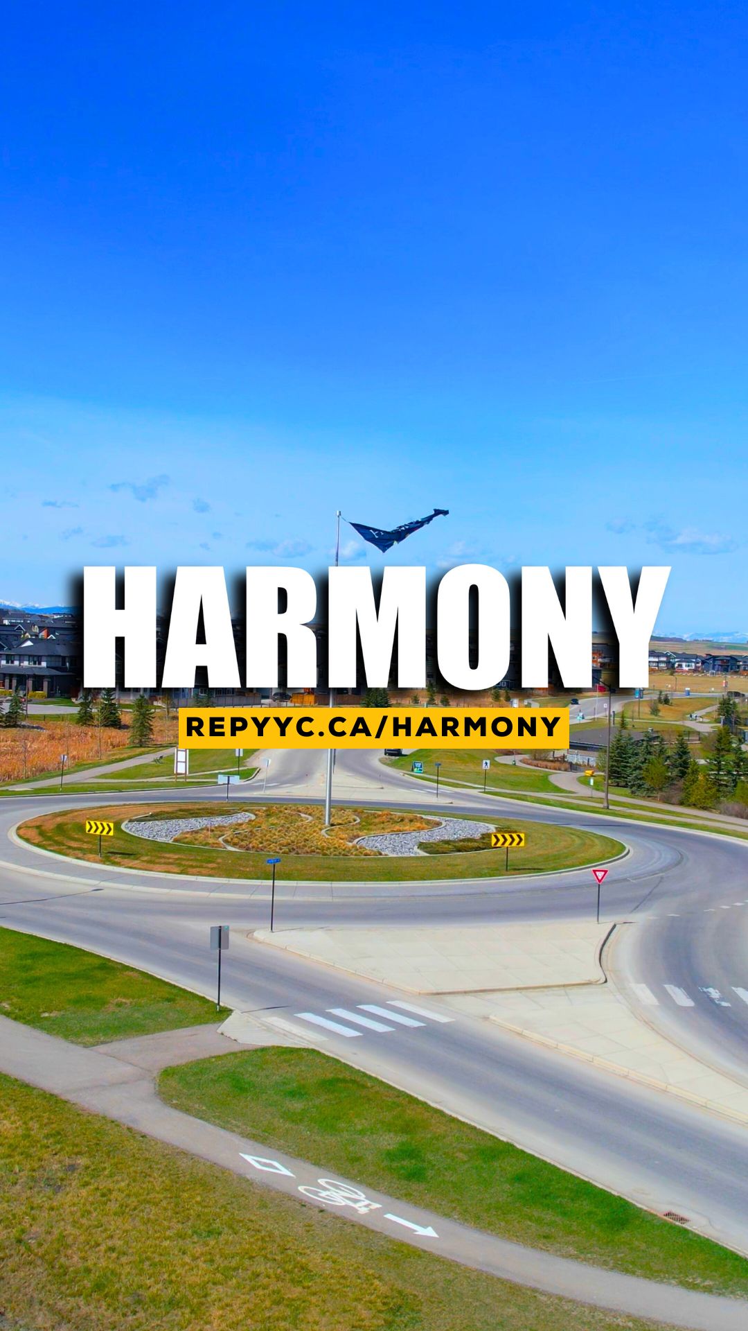 REASONS TO LIVE IN HARMONY : Community Spotlight