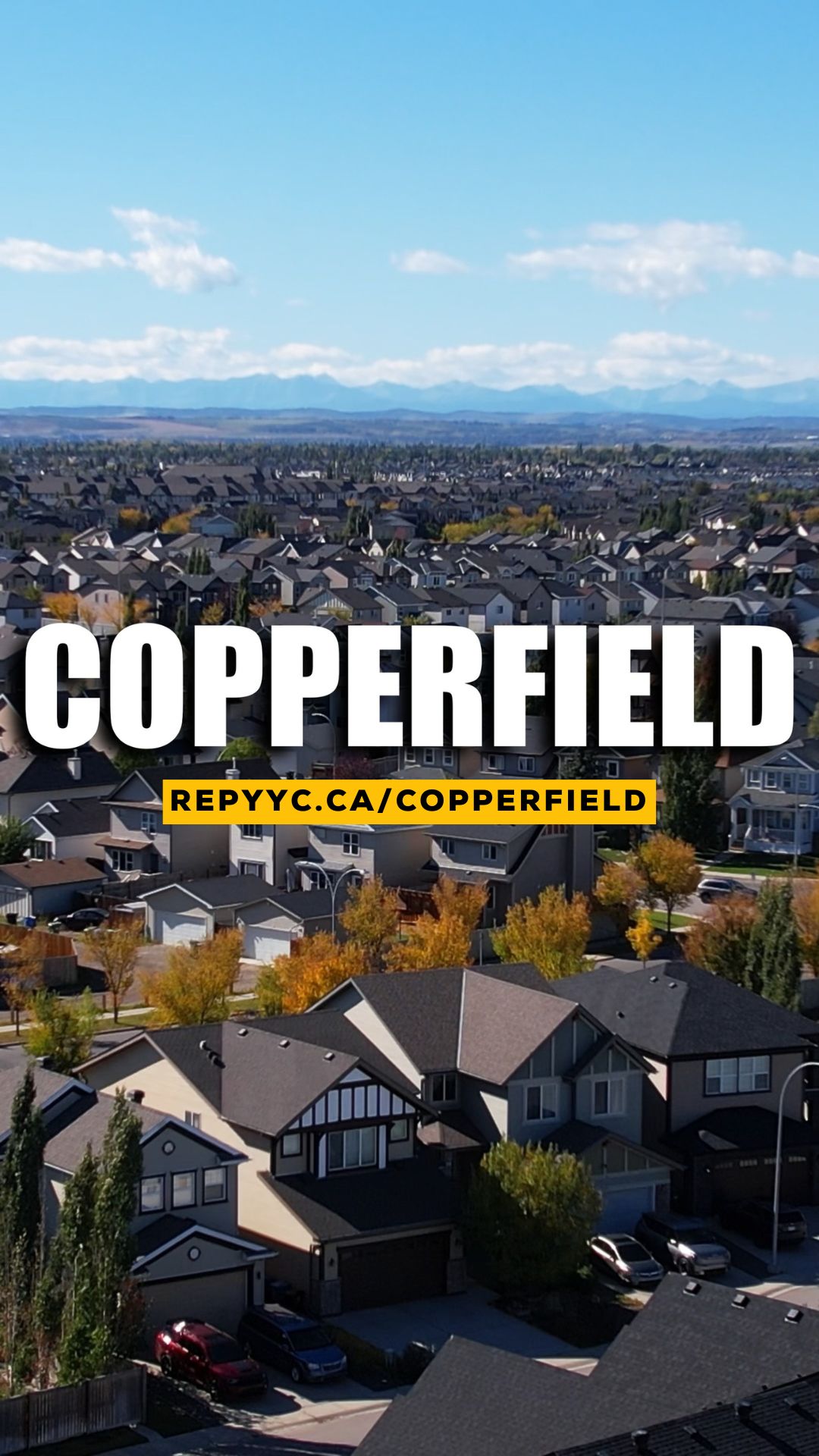 REASONS TO LIVE IN COPPERFIELD: Community Spotlight