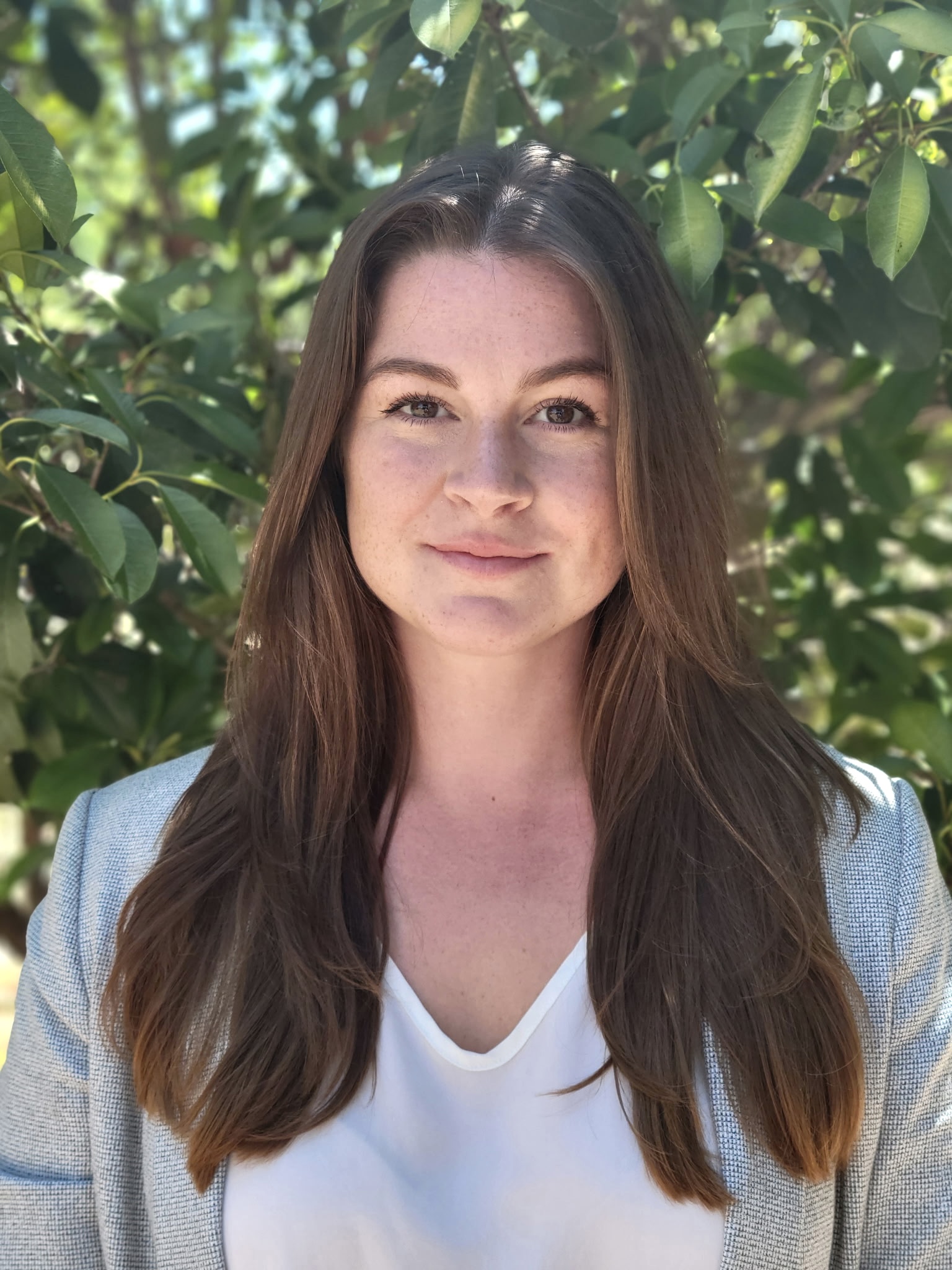 Bexar County Homestead Exemption