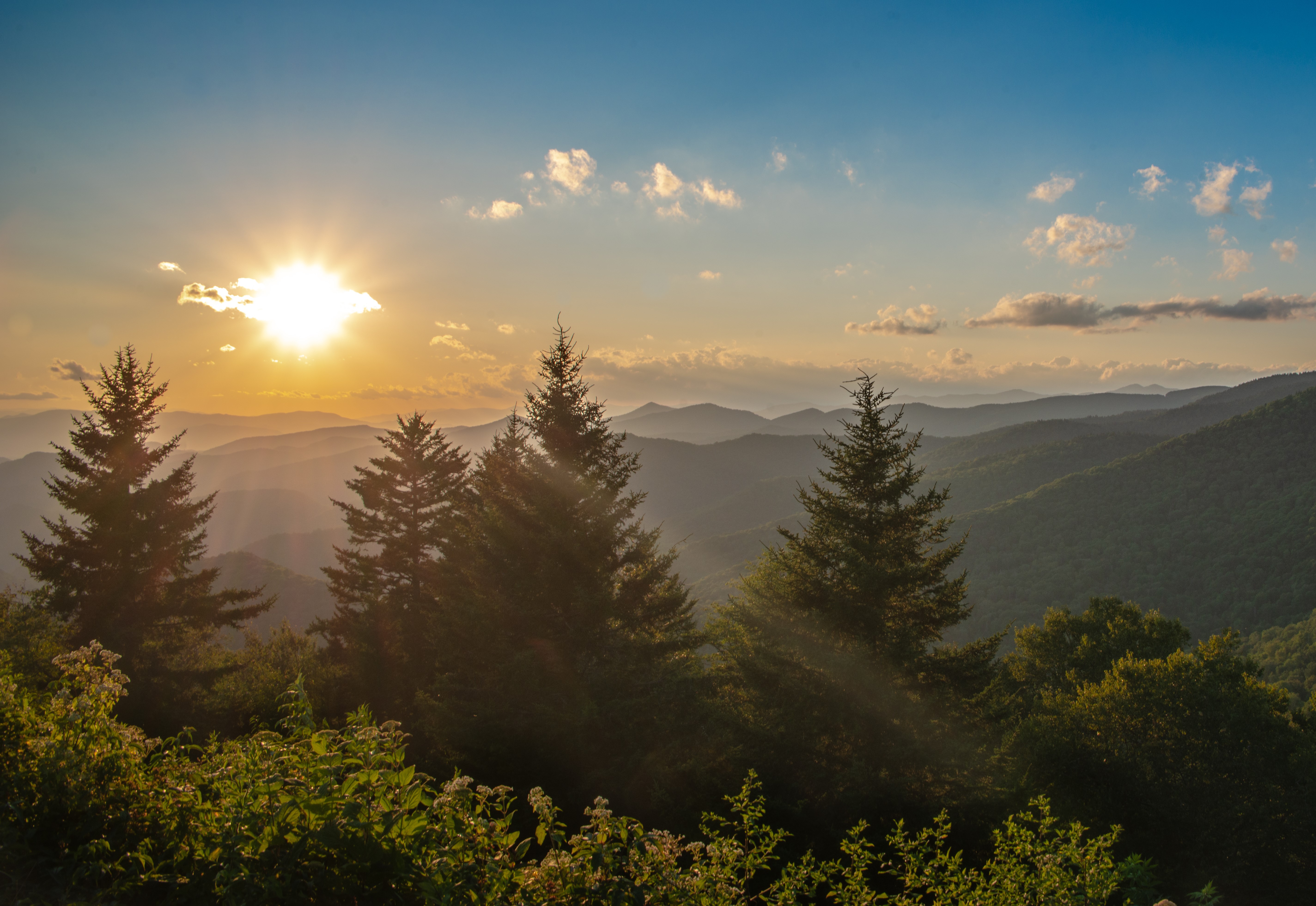 River Ridge Land for Sale