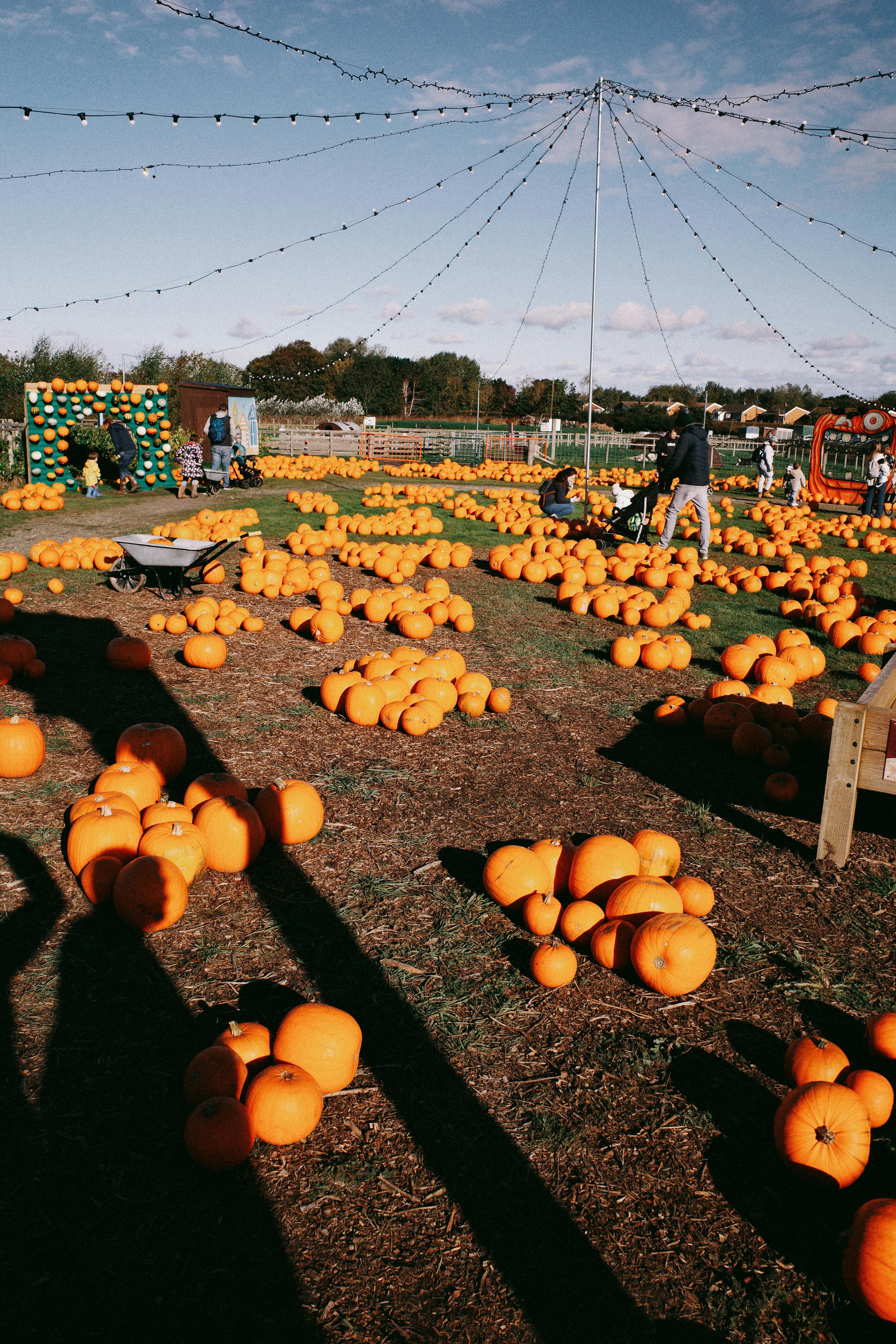 Exploring Howard County: Fall Fun, Festivals, and Events for Everyone!
