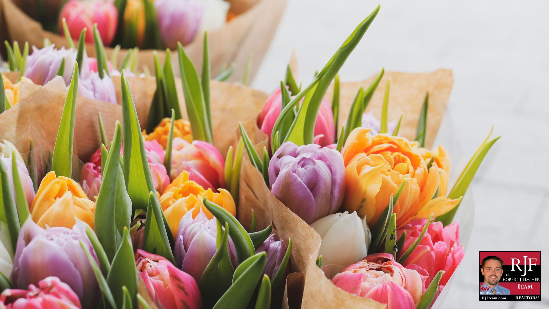 Sweet Berry Farms Tulip Season Opens February 22nd, 2024