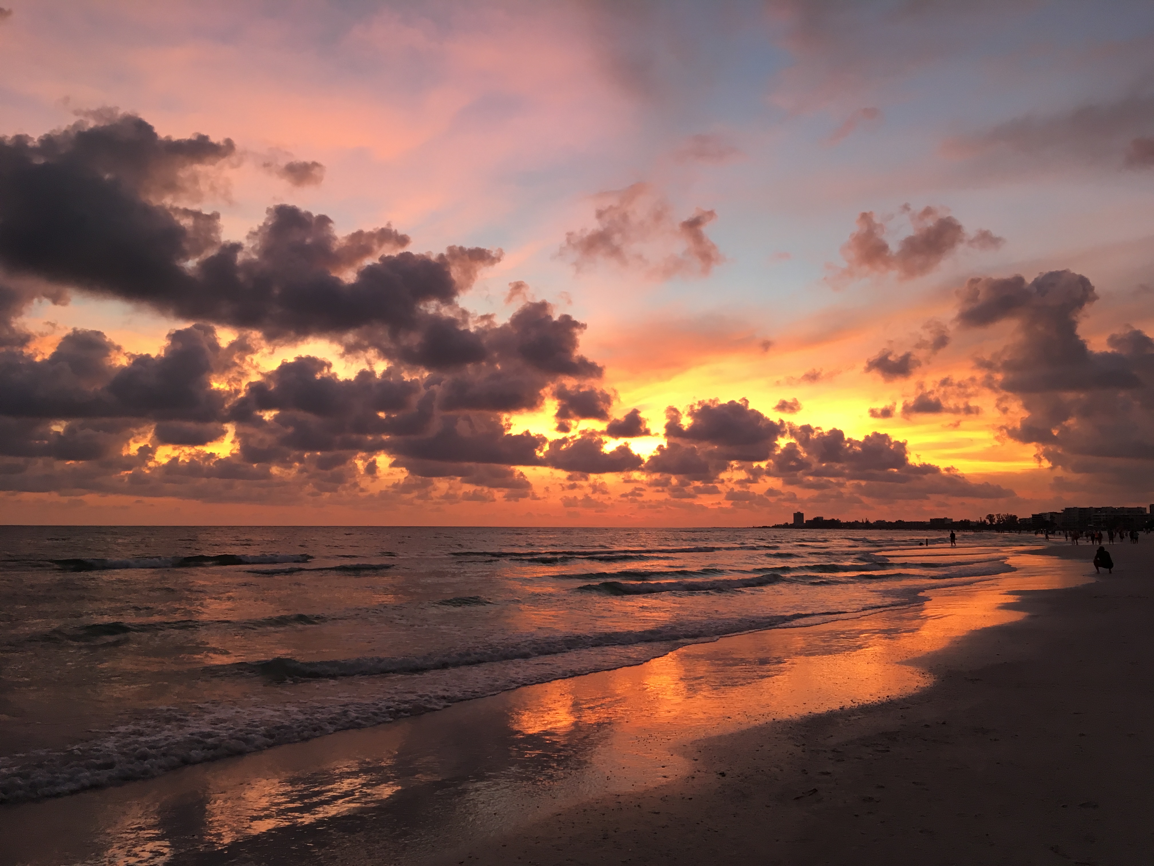 Meet the Rooster Group