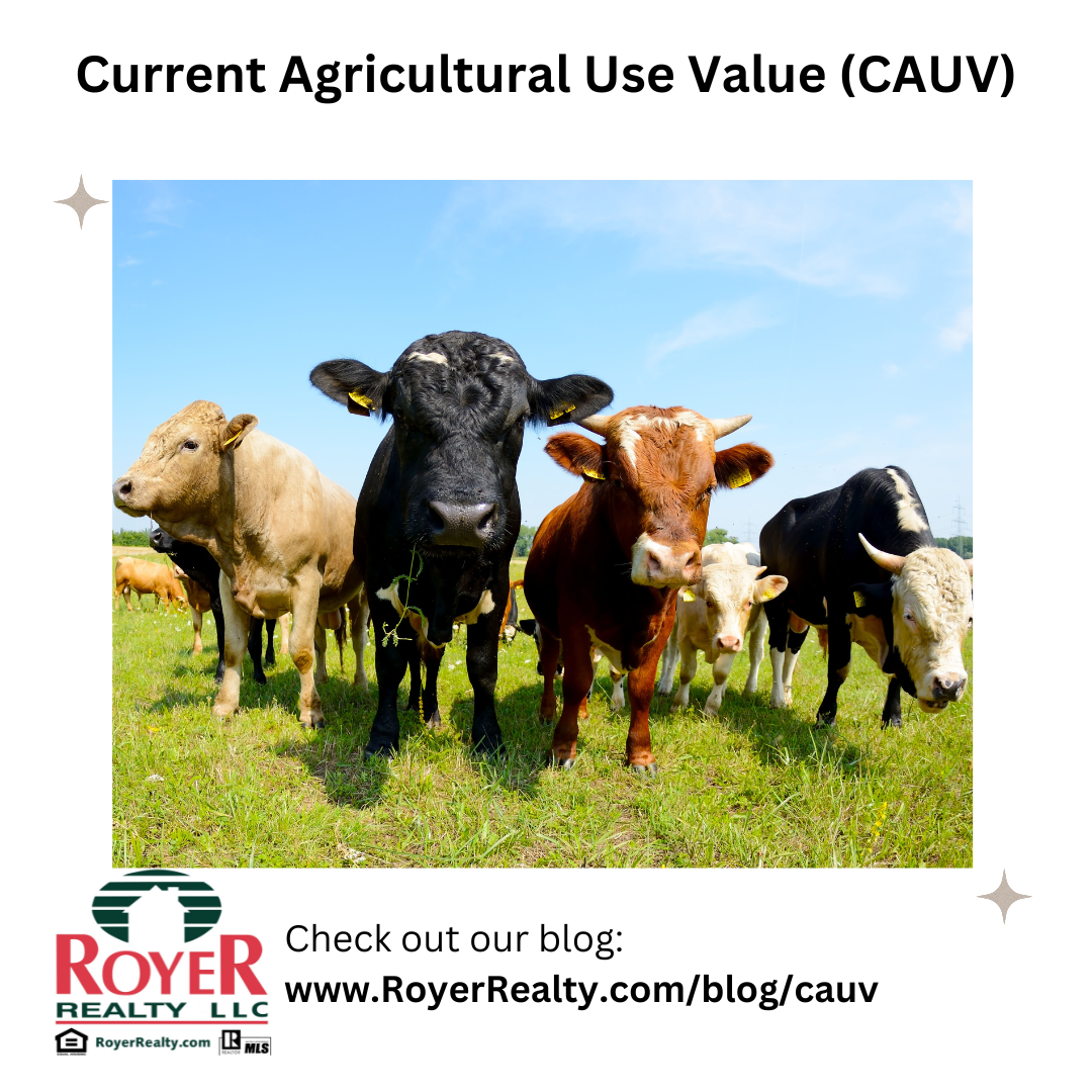 CAUV Tax Reduction in Ohio: What Landowners Need to Know | Royer Realty