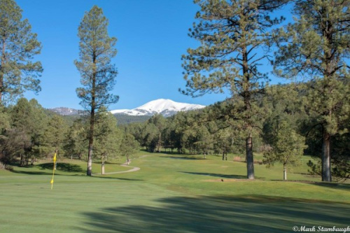 Ruidoso/Lincoln County Homes