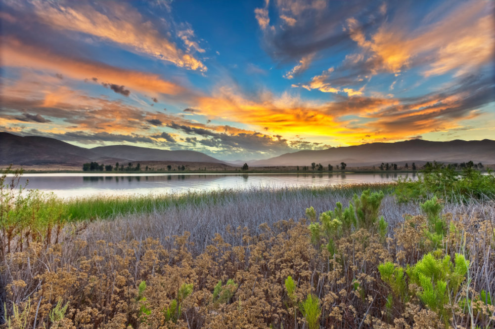 East County