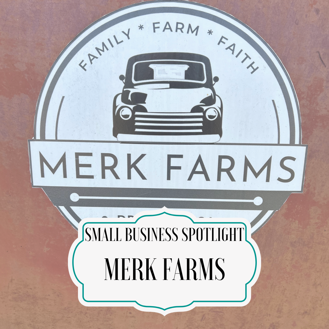 Hot Spot of the Week