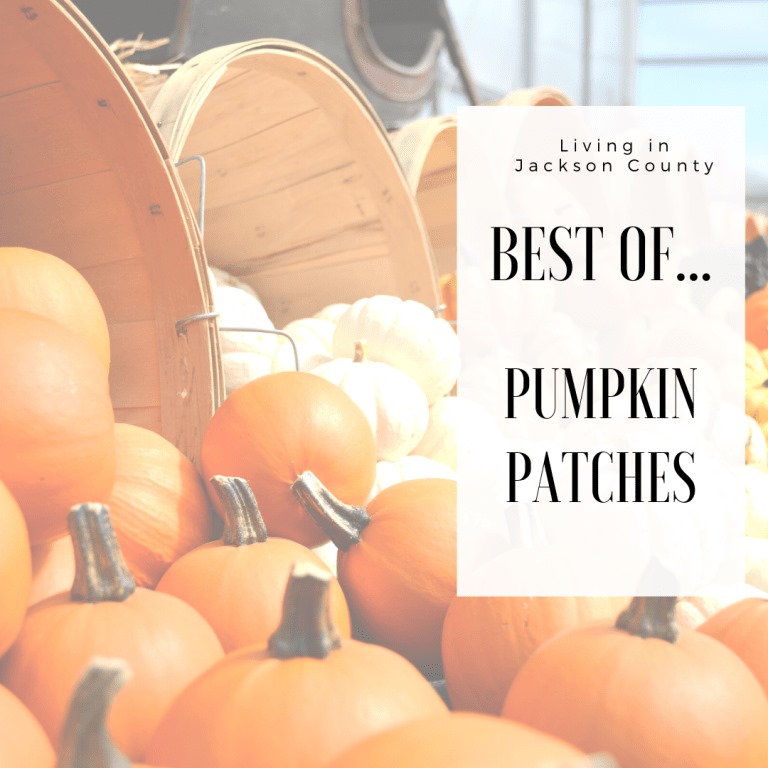 Best Pumpkin Patches | Living in Jackson County