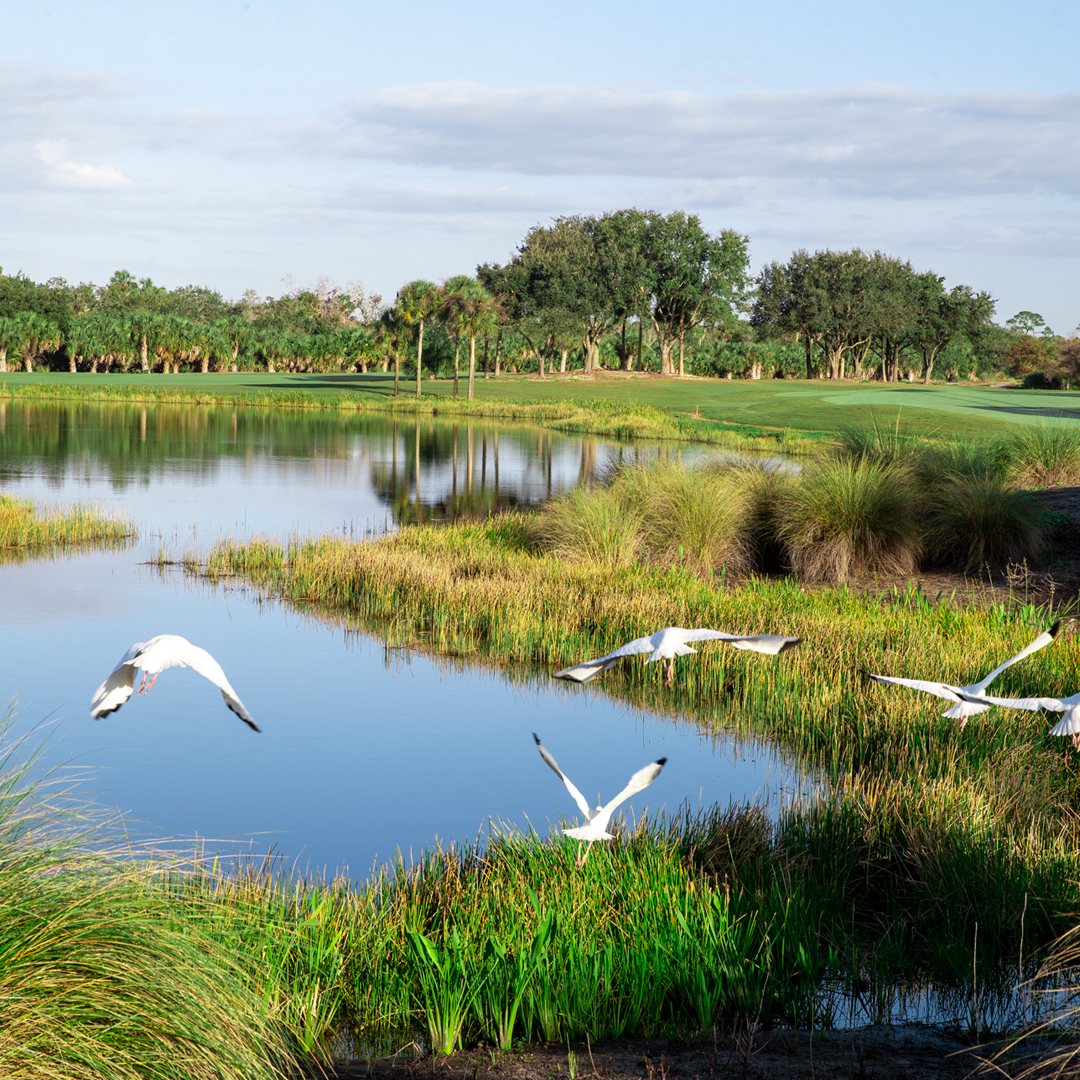 Everything You Need to Know –The Ritz Carlton Residences at Estero Bay ...