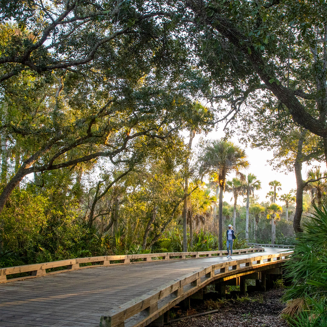 Everything You Need to Know –The Ritz Carlton Residences at Estero Bay ...