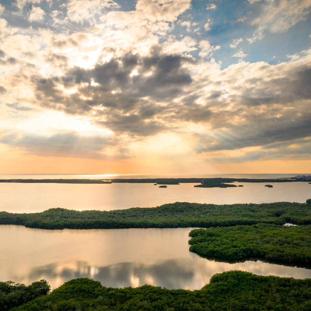 Everything You Need to Know –The Ritz Carlton Residences at Estero Bay ...