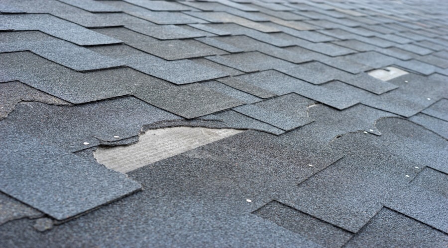 Signs Your Roof Needs Immediate Repair or Maintenance