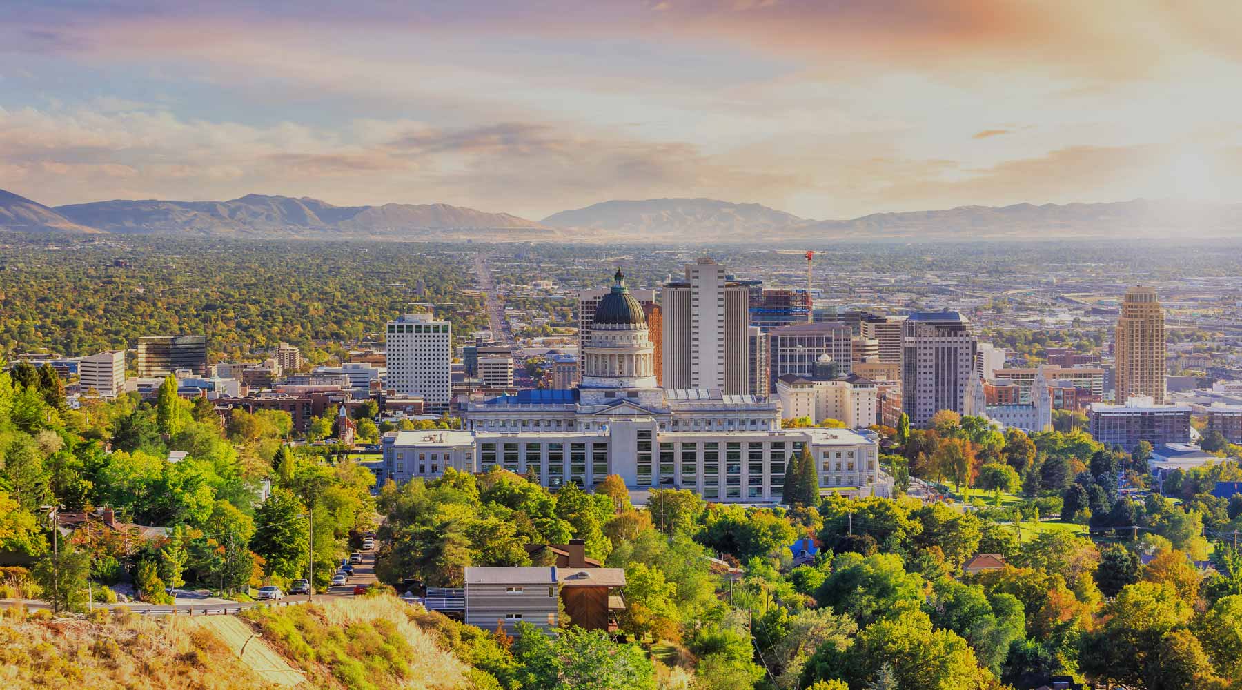 The Steele Group | Utah & Wasatch Front Homes For Sale