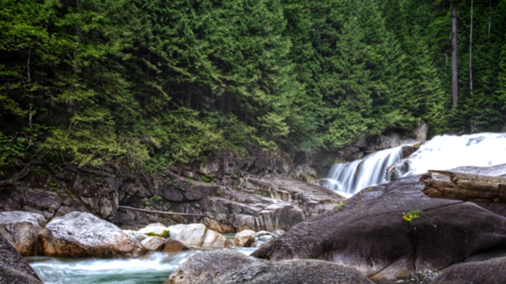 Pros and Cons Of Living In Maple Ridge British Columbia