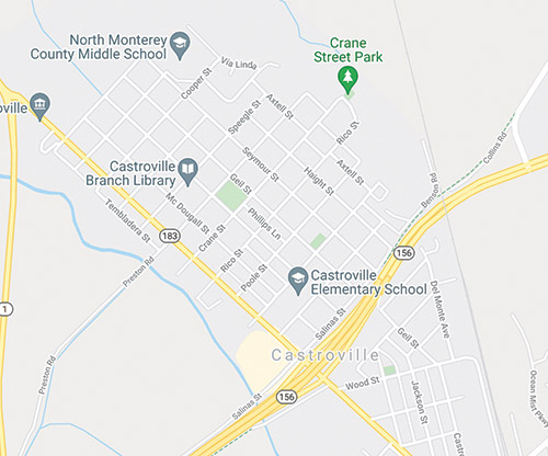 Castroville, CA Real Estate