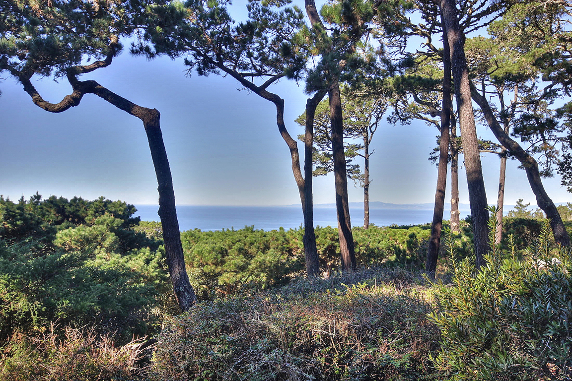 Pebble Beach Condo for Sale in the Upper Forest Neighborhood