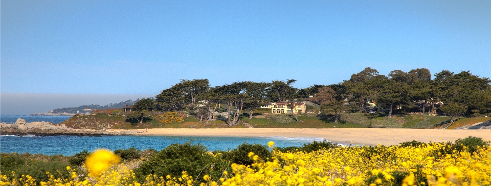 Carmel Point Neighborhood Real Estate