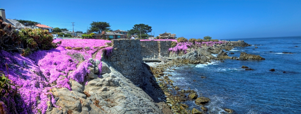 Pacific Grove Beach Tract Real Estate