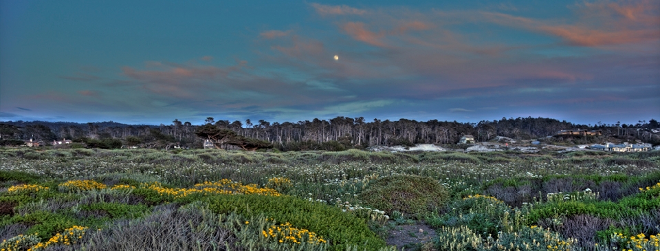 Pebble Beach Upper Forest Real Estate