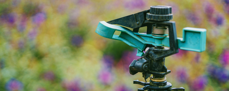 A DIY Guide to Installing a Lawn Sprinkler System