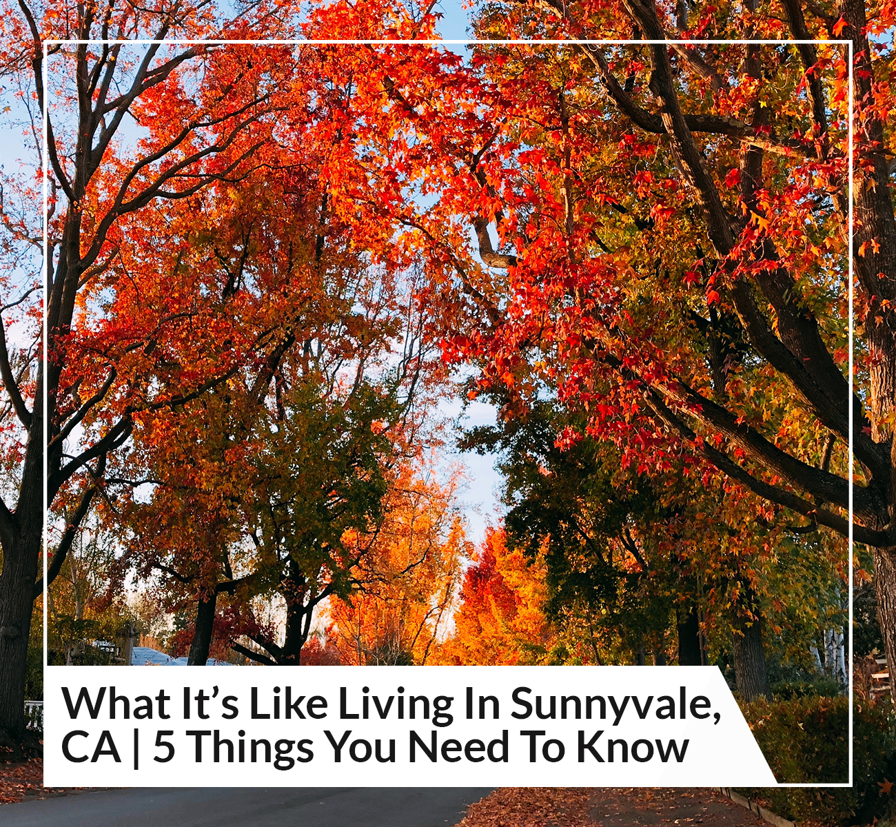 Living in and Moving to Sunnyvale, CA | 5 Things You Need To Know ...