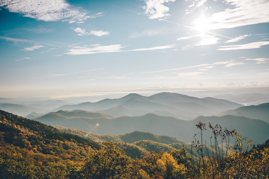 Asheville's Summer Playbook Is Out, and It's Packed: Everything You ...